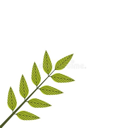 Diagonal Tree Stock Illustrations 4189 Diagonal Tree Stock Illustrations Vectors And Clipart