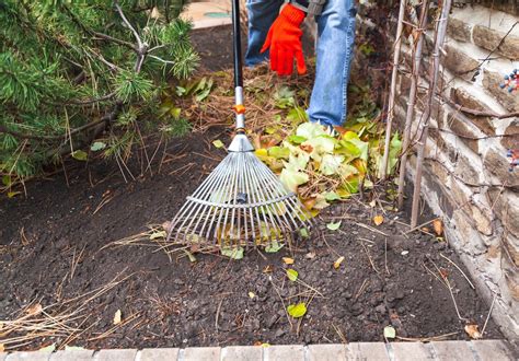 Springtime Means Defensible Space Time