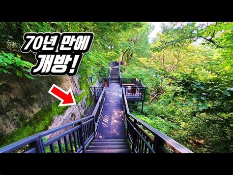 드디어 개방된 도심 속 울창한 9km 하늘 데크길 조선 왕실의 비밀 숲 대중교통 당일치기 여행 서울 돌곳이역 트레킹 5060 여행