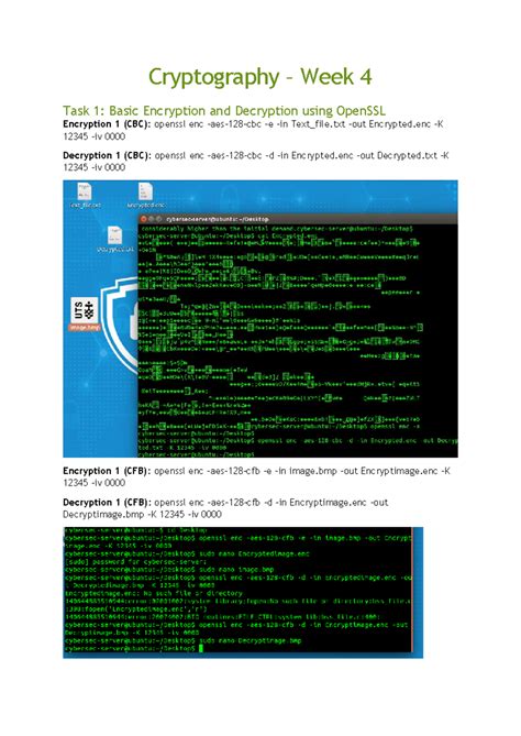 cybersecurity week4lab cryptography week 4 task 1 basic encryption and decryption using