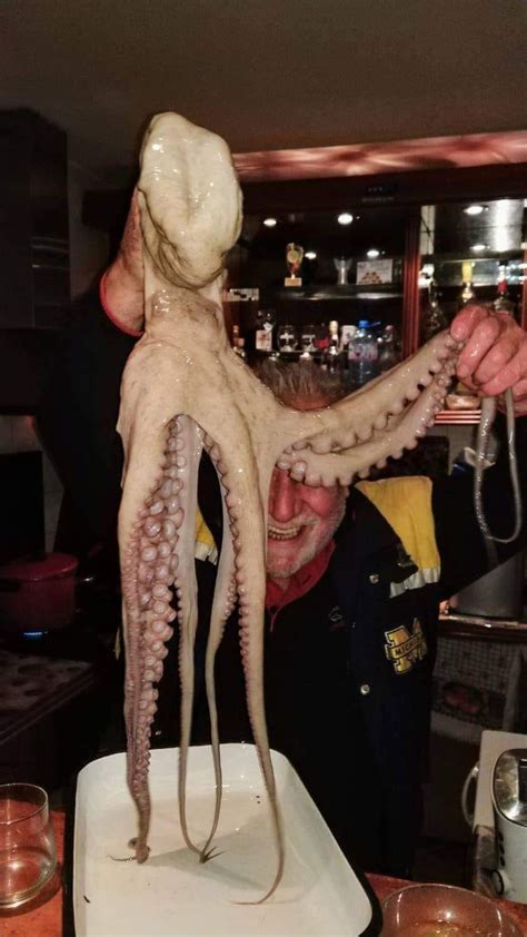 Ресторант Про Хънтър Pro Hunter Restaurant От обедното ни меню Пилешка пържола от бут с