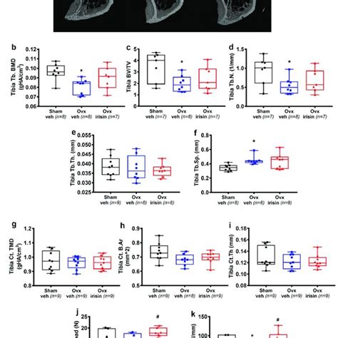 Treatment With Irisin Prevents Trabecular Bone Loss In The Tibiae Of