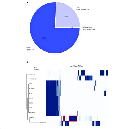 A The Number Of Genes Belonging To The Core The Soft Core The