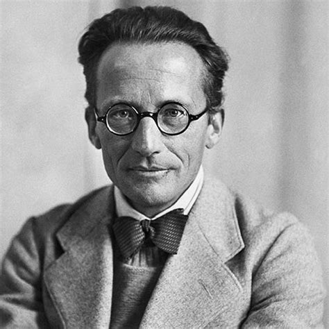 Erwin Schrödinger Discovery Quotes And Experiment