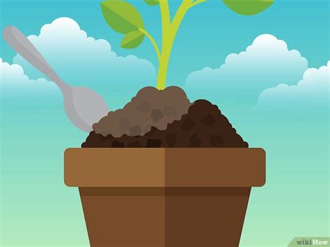 Deshacerse De Los Hongos Que Crecen En El Suelo De Las Plantas De