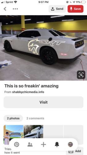 Lrg Cat Side Fender Diecut Vinyl Decal Sticker Kit Miracle Master