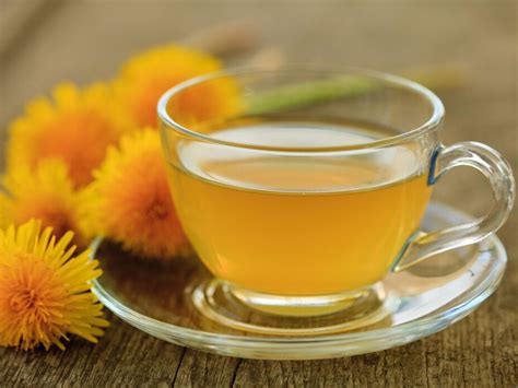 Löwenzahntee Wirkung Alles über Den Unterschätzten Wunderdrink