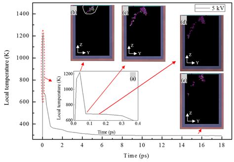 Molecular Dynamics Simulations Describing The Temperature Evolution And