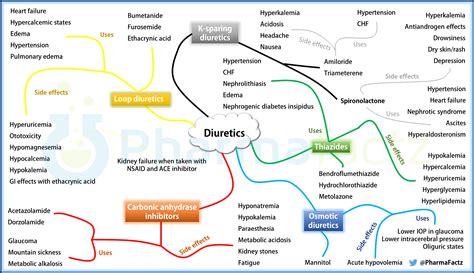 Medication Concept Map Template