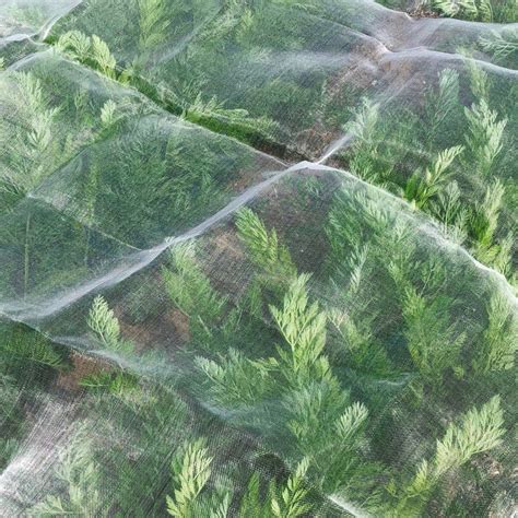 Medium Insect Net 08mm Mesh Garden Netting By Wondermesh