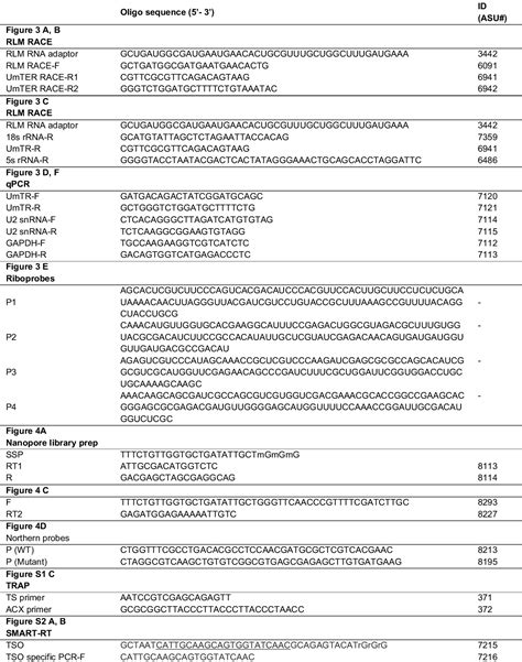 figure 4 from biogenesis of telomerase rna from a protein coding mrna