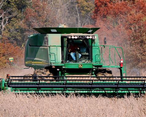 The Peace Bee Farmer Soybean Harvest