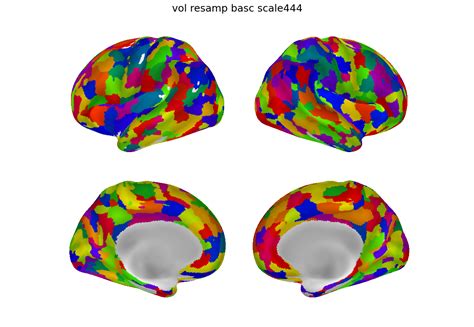 Parcellations Viz Performance Scaling For Structural Mri Surface