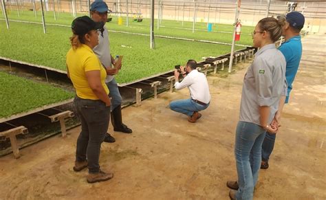 Adab Qualifica Produção Baiana De Tabaco Há Mais De Uma Década