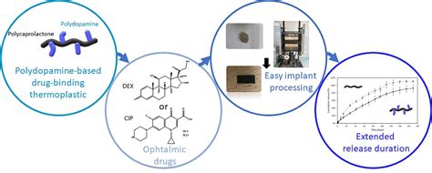 Polyester Polydopamine Copolymers For Intravitreal Drug Delivery Role