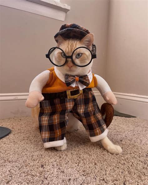 Grumpy Grandpa When There Is No Food Rflamepoints