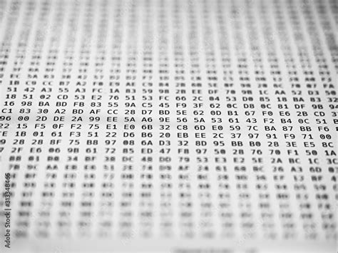 Hex Code On Computer Screen Closeup Random Hexadecimal Code Stream