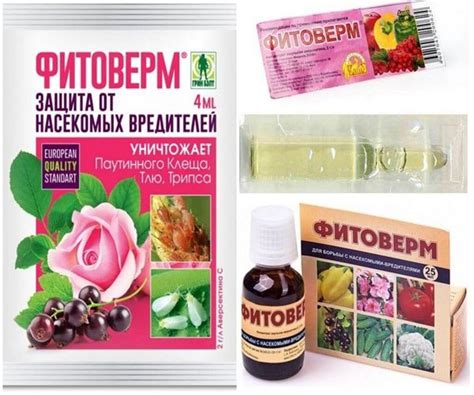 Выращивание перца на подоконнике в домашних условиях