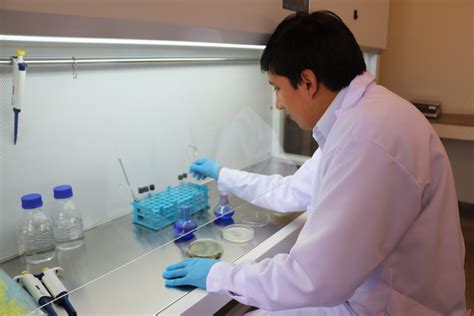 Agroindustrial Beta Pone En Marcha Nuevo Laboratorio Dedicado A La