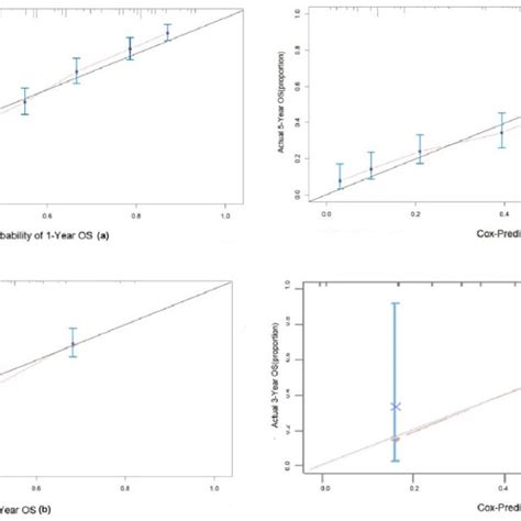 Calibration Curves To Predict Os In Intermediate Hcc Patient Cohort