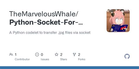 Github Themarvelouswhale Python Socket For Image Transfer A Python Codelet To Transfer