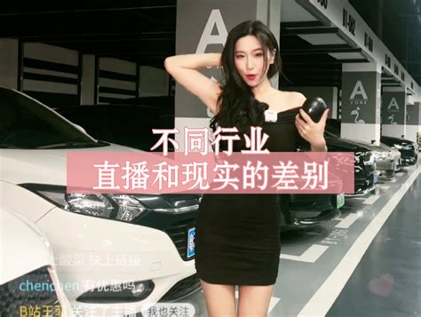视频去哪了呢？哔哩哔哩bilibili