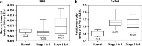 The Expression Of Shh And Cyr61 Are Increased In Advanced Breast