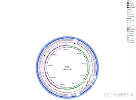 科研干货 Brig绘制原核生物比较基因组圈图 知乎