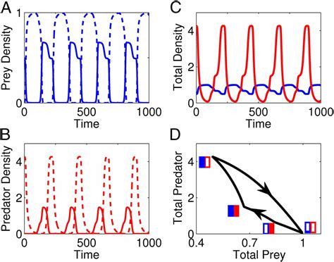 Prey And Predator Cycle