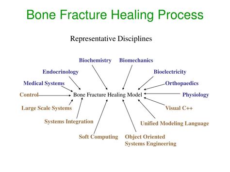 Ppt Examples Of Modeling And Simulating Large Scale Complex Systems