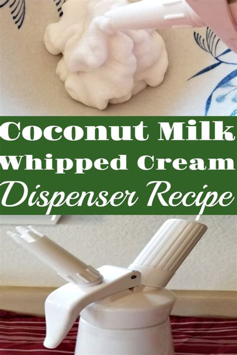 Coconut Milk Whipped Cream Recipe Sprayable Dairy Free Topping