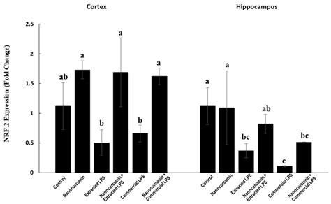 NRF In Control Rats And Rats Treated With Nanocurcumin And Or LPS Download Scientific Diagram