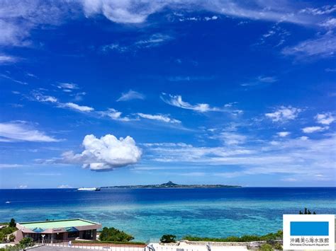 【新しいこと】 美ら海だより 沖縄美ら海水族館 沖縄の美ら海を、次の世代へ。