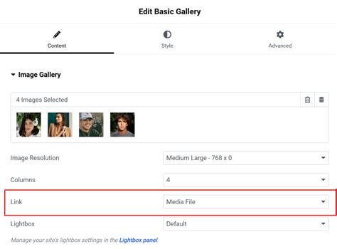 Add Custom Urls To Individual Images In Elementor Gallery Widget