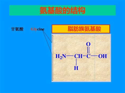 氨基酸的分类特点及理化性质 Word文档在线阅读与下载 无忧文档