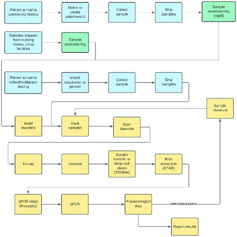 Sample Collection And Testing Process Steps Performed At Sample