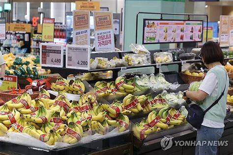 지난달 바나나·파인애플 수입액 동반 사상 최대