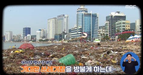 뉴스 스토리 태풍 후폭풍쓰레기로 뒤덮인 해수욕장