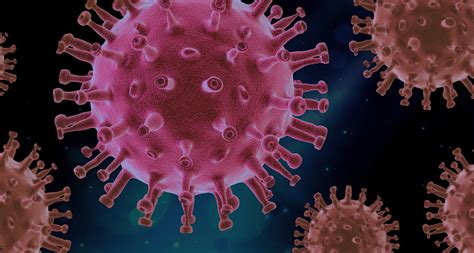 Bibliographie spéciale Virus Sciences pour tous