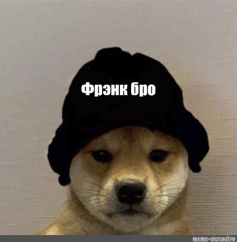 Создать мем собаки милые собака собака в шапке мем Картинки