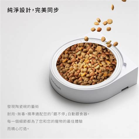 Grantclassic 特經典 特經典 餵不停 貓狗自動餵食器配件陶碗碗【15 X 15 X 3 Cm】 Pchome 24h購物