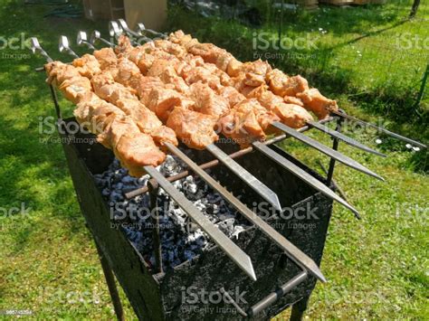 전통적인 리투아니아 여름 음식 Saslykai 여름에 바베 큐 그릴에 굽고 건강한 식생활에 대한 스톡 사진 및 기타 이미지 건강한 식생활 계절 고기 Istock