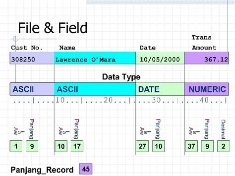 Konsep Data Base Pengertian Data Base Fileoriented Approach