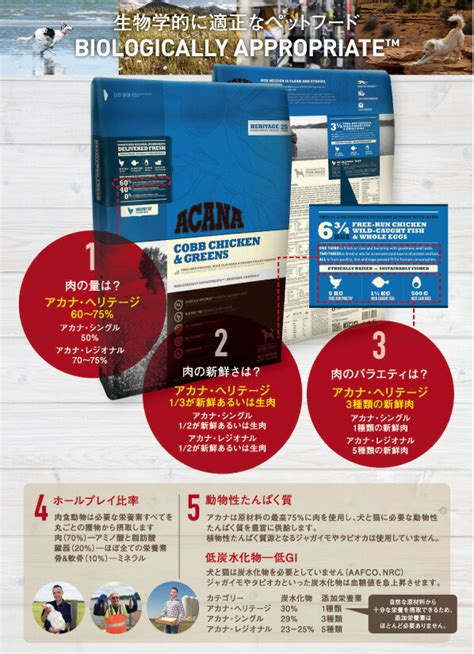 【楽天市場】【25日p13倍以上最大100％pバック】クーポン付要エントリー アカナ ワイルドプレイリードッグ 11．4kg ドッグフード