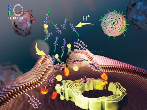 Journal Of Materials Chemistry 10th Anniversary Cover Showcase June