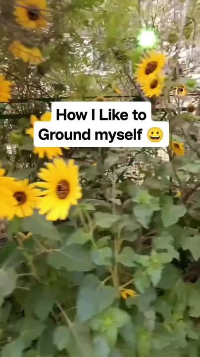 Learn About Grounding With Dr Suchitra Prasad Dr Suchitra Prasad