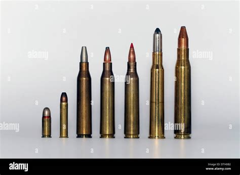 Cartridges Bullets Lined Up Upright Stock Photo Alamy