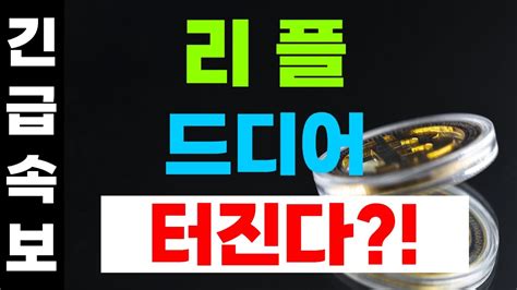 리플 긴급속보 드디어 터진다 Youtube