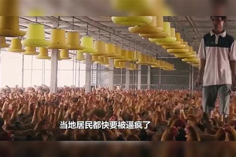越南人被逼疯了向全世界进行求救为啥它们不去中国 进行 全世界 越南