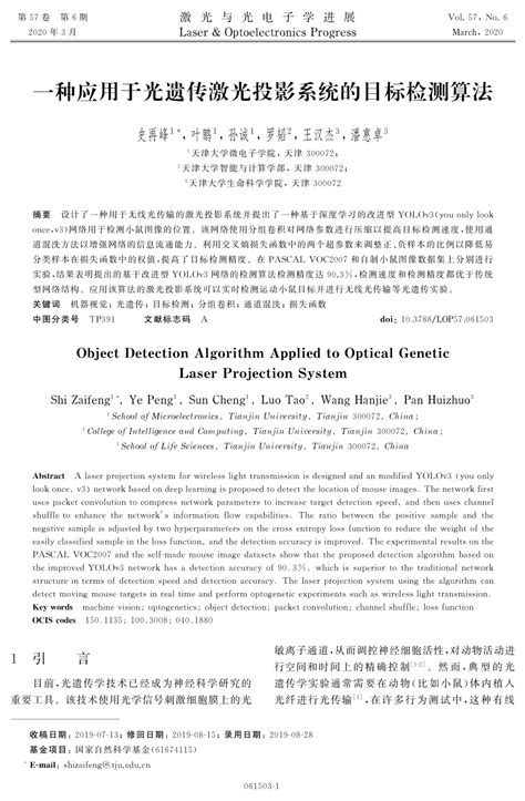 Pdf Object Detection Algorithm Applied To Optical Genetic Laser Projection System